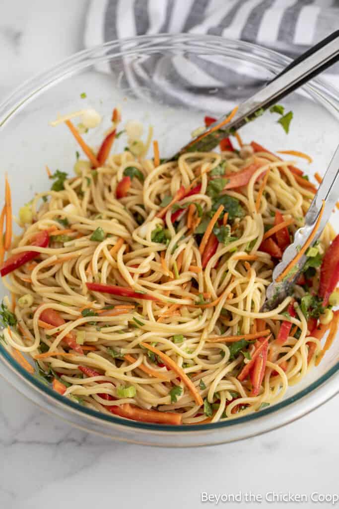 Asian Noodle Salad - Beyond The Chicken Coop