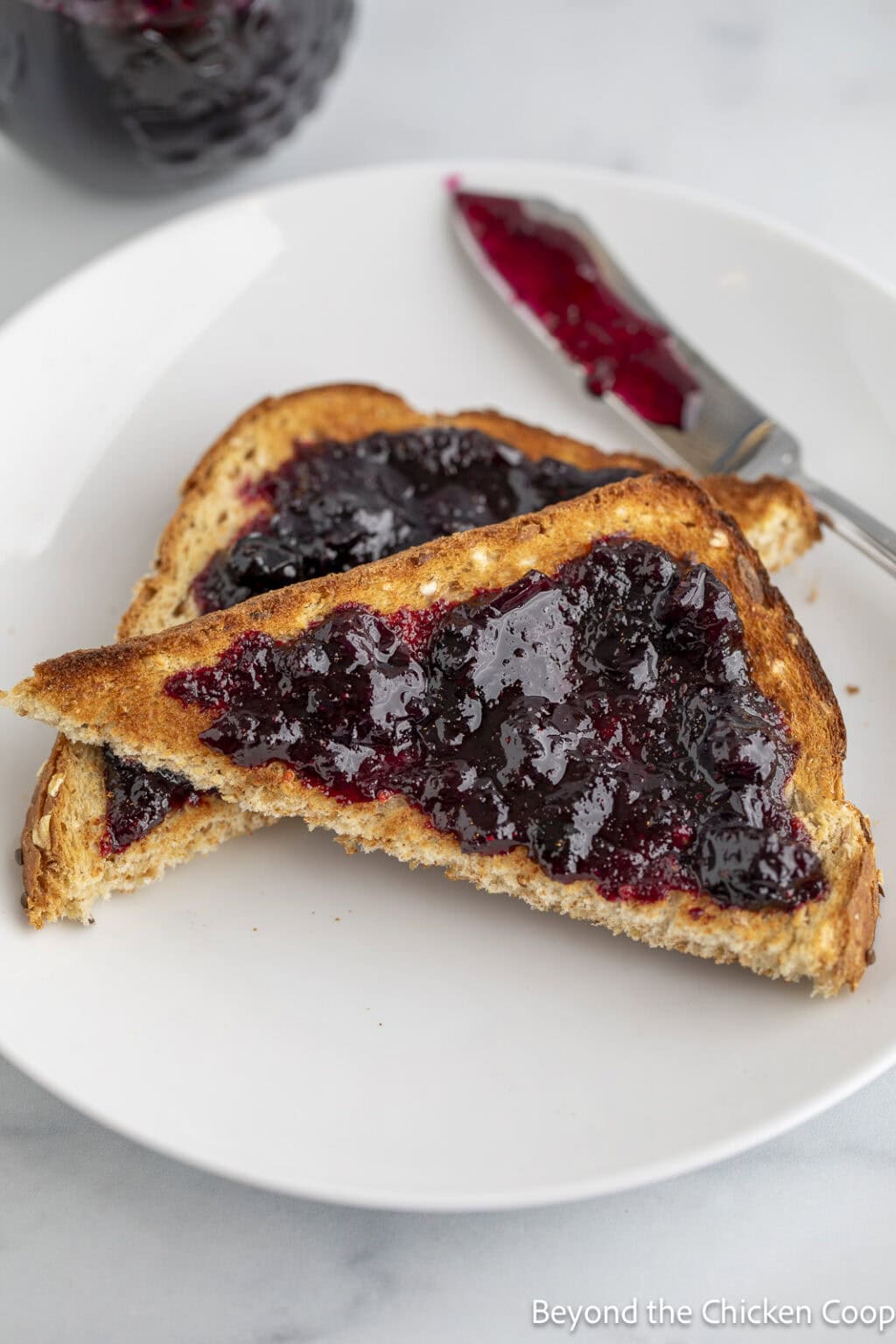 Blueberry Jam - Beyond The Chicken Coop