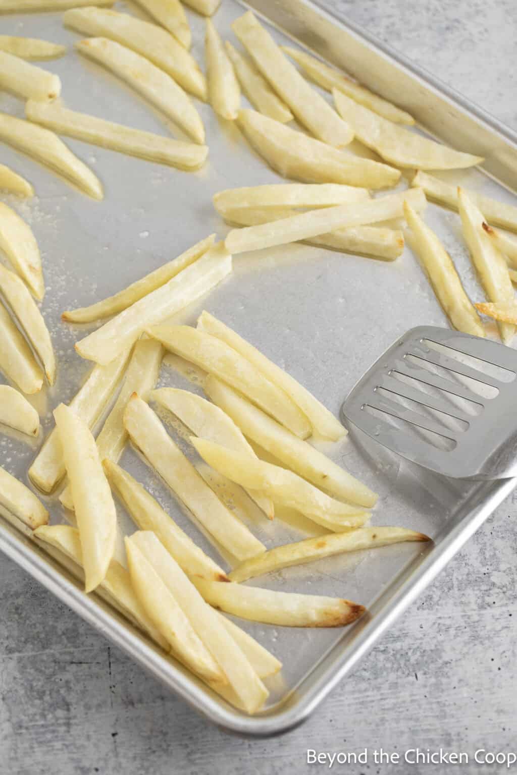 Oven Baked Fries - Beyond The Chicken Coop